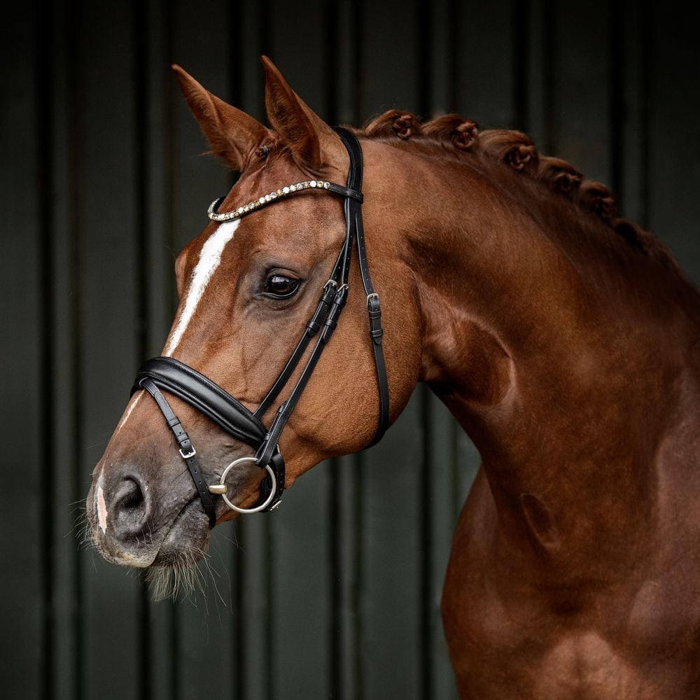 Classic Trensen von Unicorn Equestrian